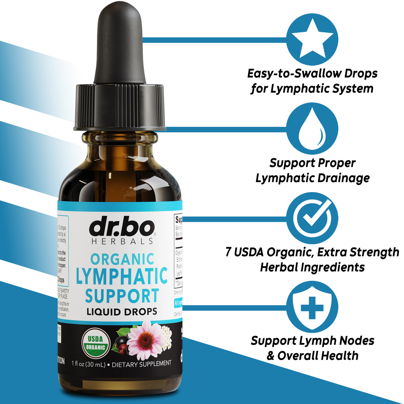 Lymphatic Support Liquid Drops – DR.BO