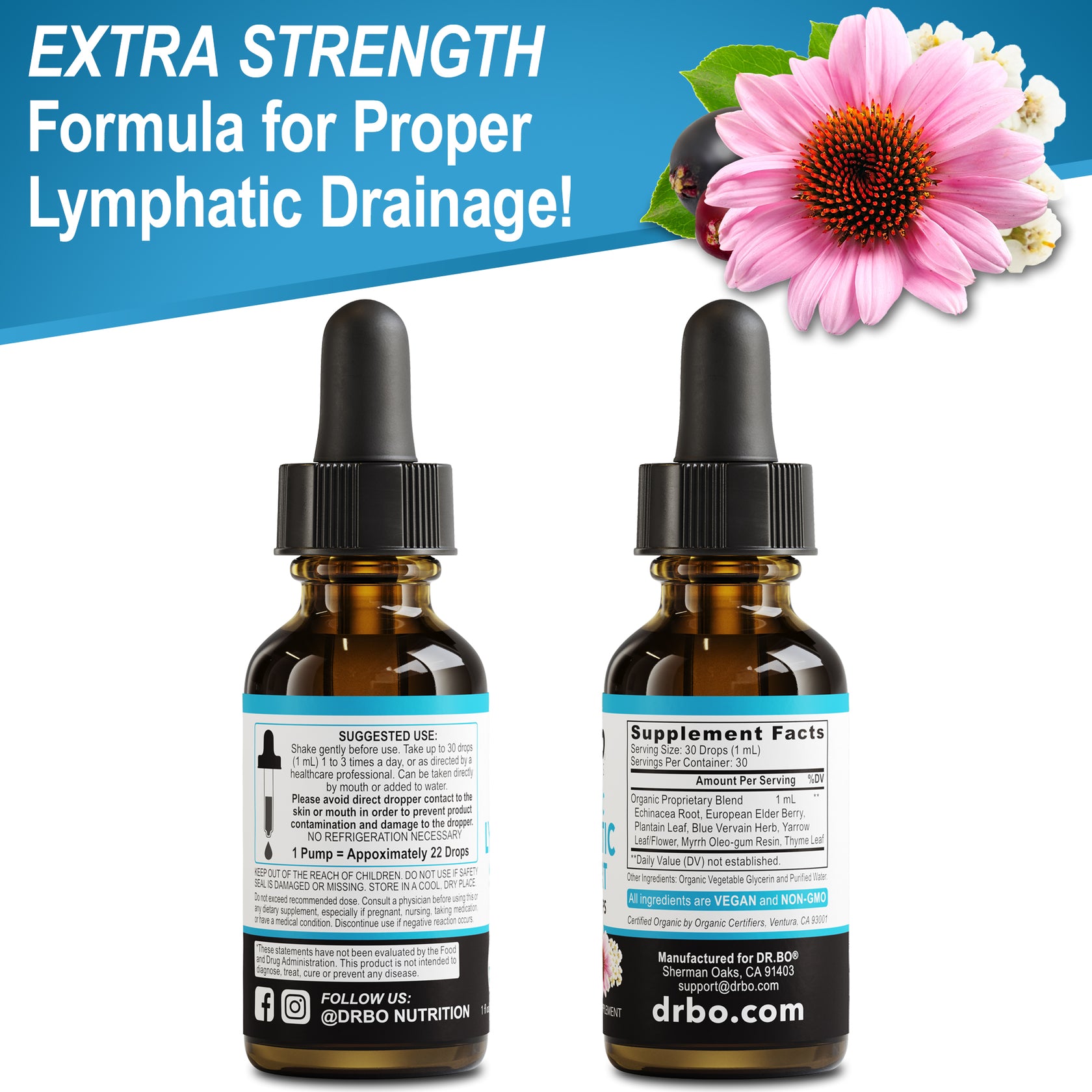 Lymphatic Support Liquid Drops – DR.BO