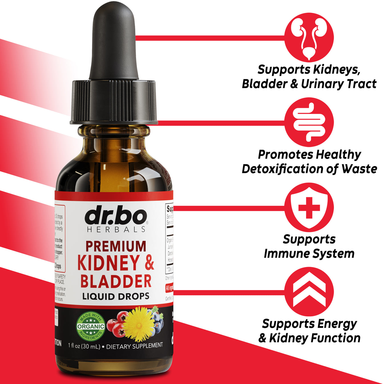 Kidney & Bladder Liquid Drops – DR.BO